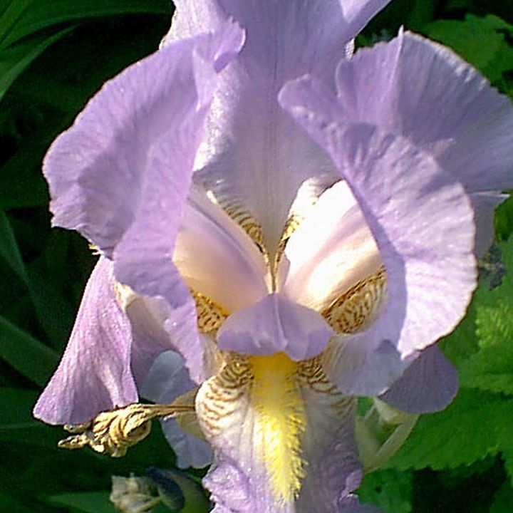 AGFA ePhoto Digitalkameras Geschichte - Digitalkamera-Museum