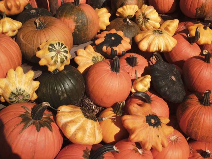 Polaroid PDC 2000/40 3000 - Digitalkamera-Museum